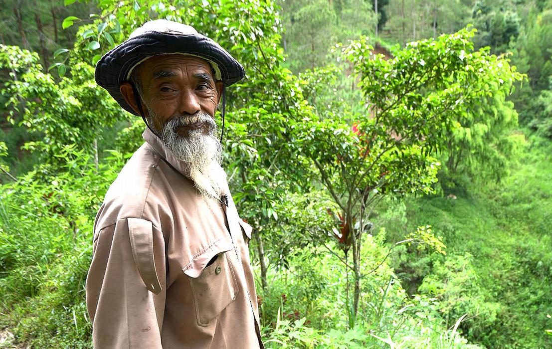 Kisah Mbah Sadiman Legend Wonogiri: Meski Dianggap Gila, Tetap Berjuang ...
