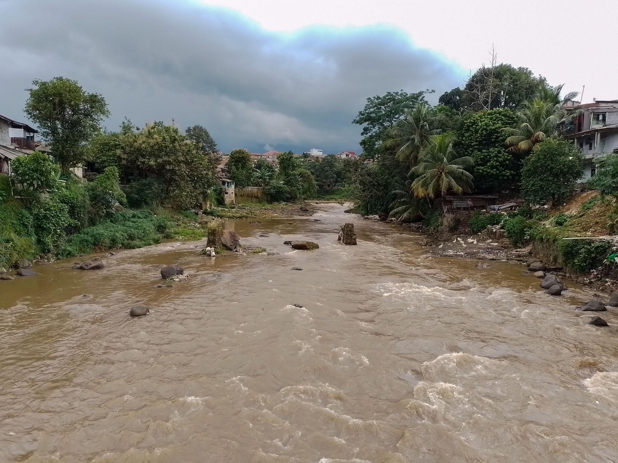 Sungai Cisadane Masih Bau Kimia: Bangkai Ikan Menumpuk dan Warga Mulai ...