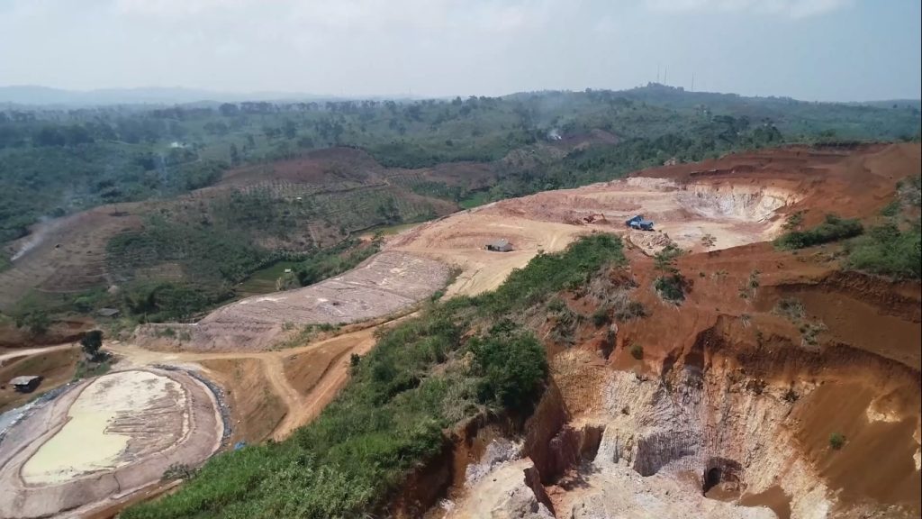 Mengenal Pohon Ulin: Kayu Besi Asli Indonesia yang Kaya Manfaat dan ...